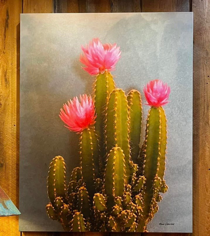 Pink Passion Canvas Art | Sherri Alexander Art – Your Western Decor