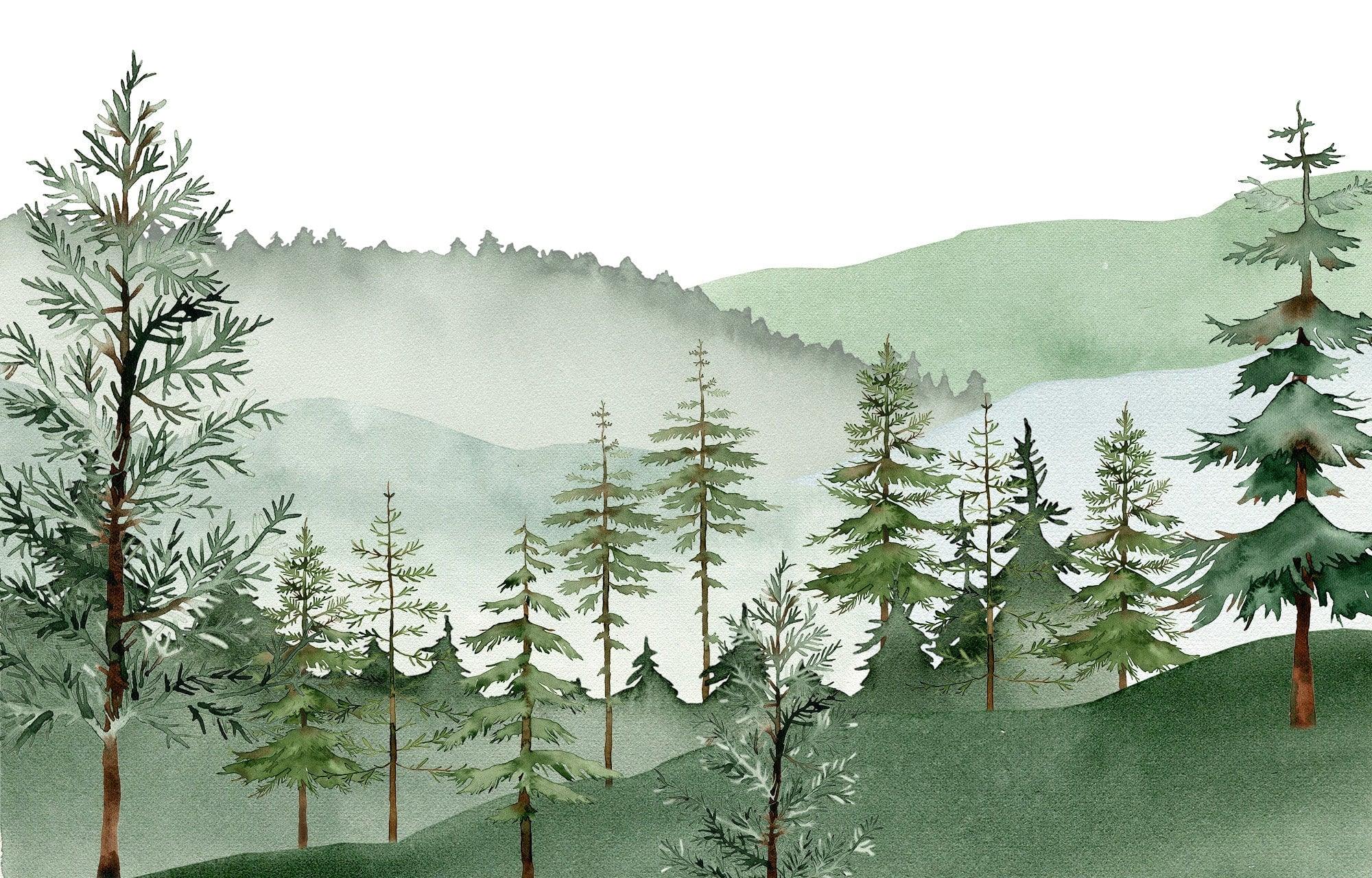 Wallpaper Forest Tree Usa Study Shows Fewer Forest Fires Burn In North