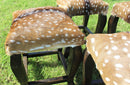 Axis Deer Hide Upholstered Bar Stools | Your Western Decor