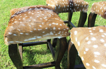Axis Deer Hide Upholstered Bar Stools | Your Western Decor