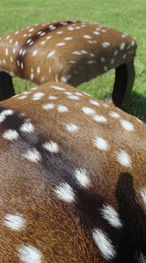 Axis Deer Hide Upholstered Bar Stools | Your Western Decor