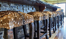 Axis Deer Hide Upholstered Bar Stools | Your Western Decor