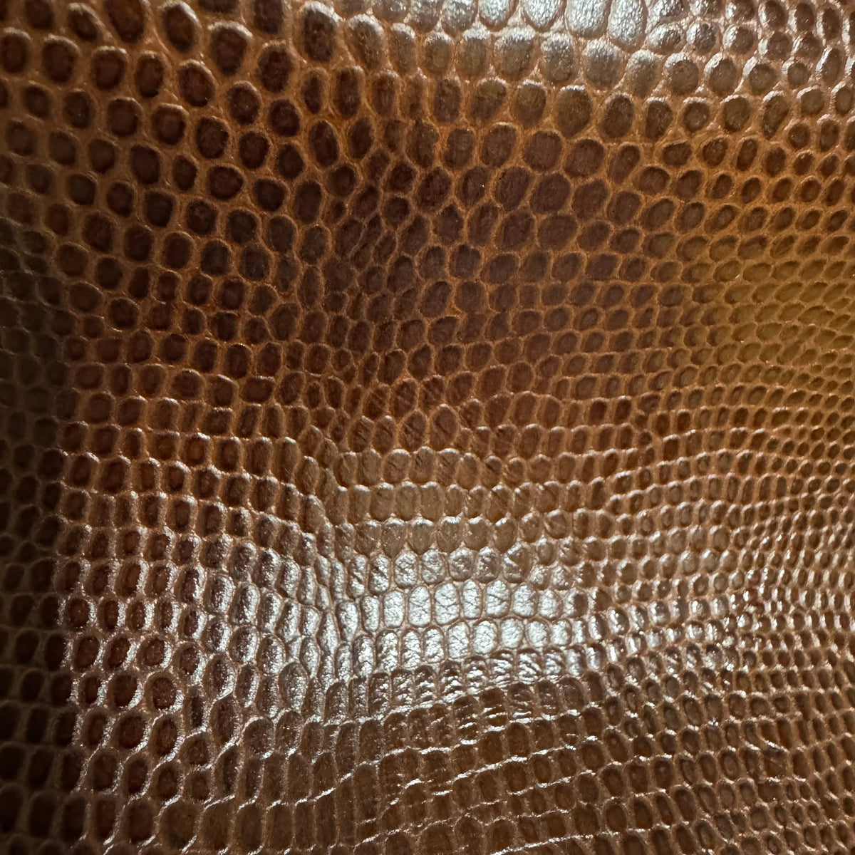 Embossed Lizard Gem Saddle Leather | Your Western Decor