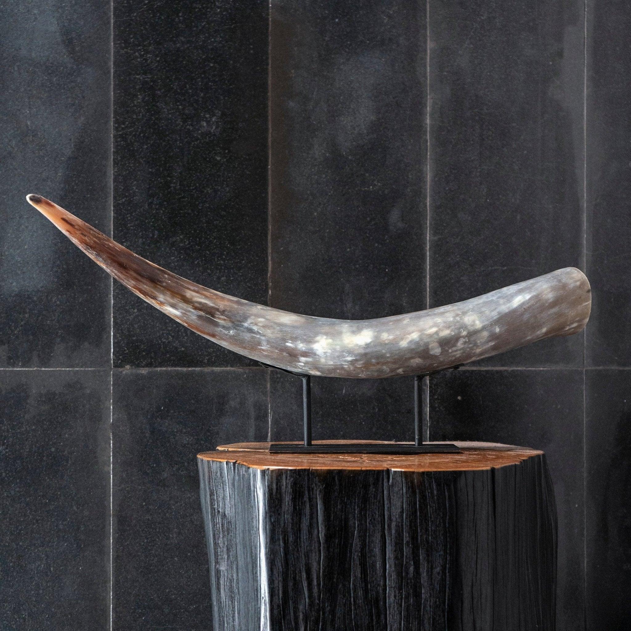 Horizon Longhorn Shelf Display | Your Western Decor