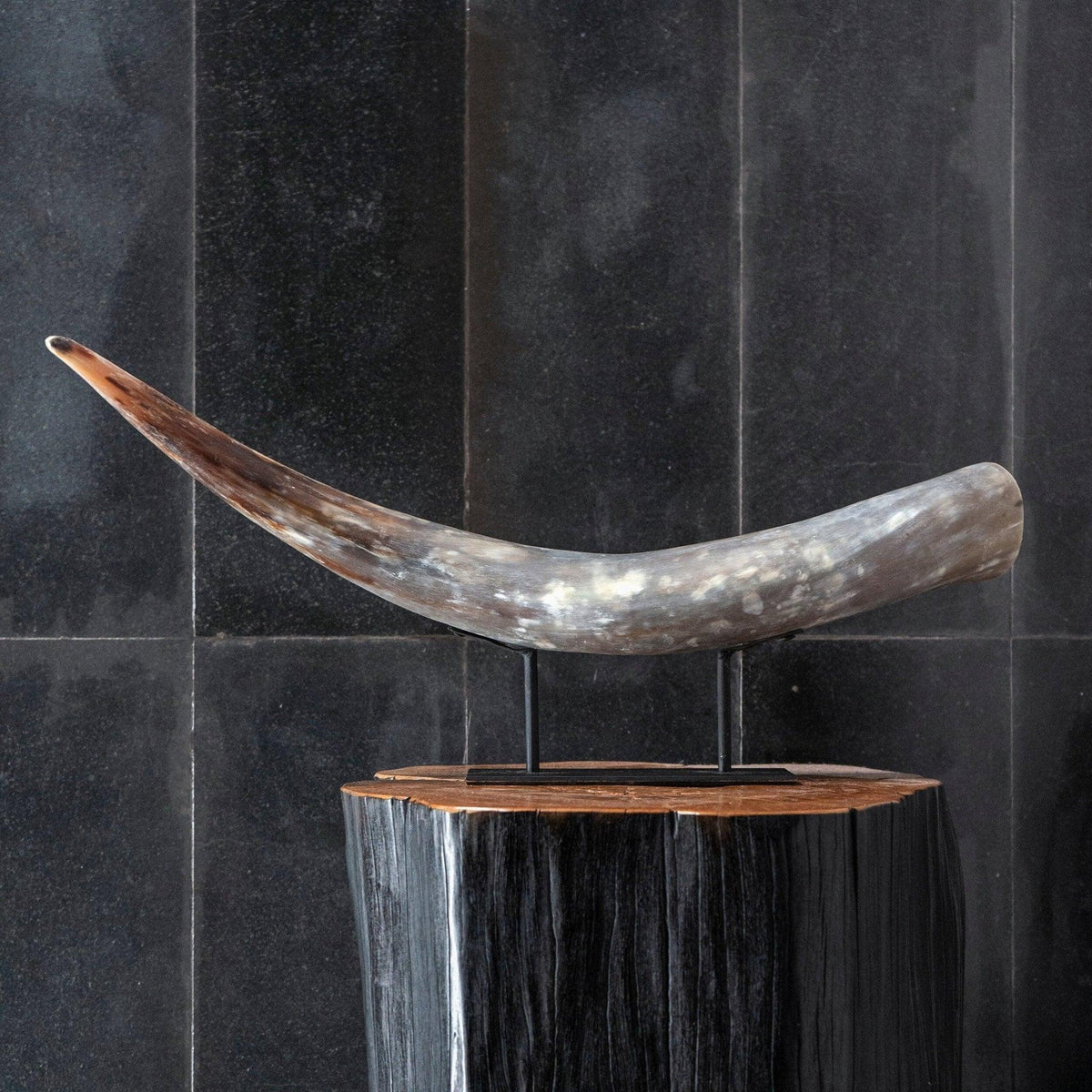 Horizon Longhorn Shelf Display | Your Western Decor