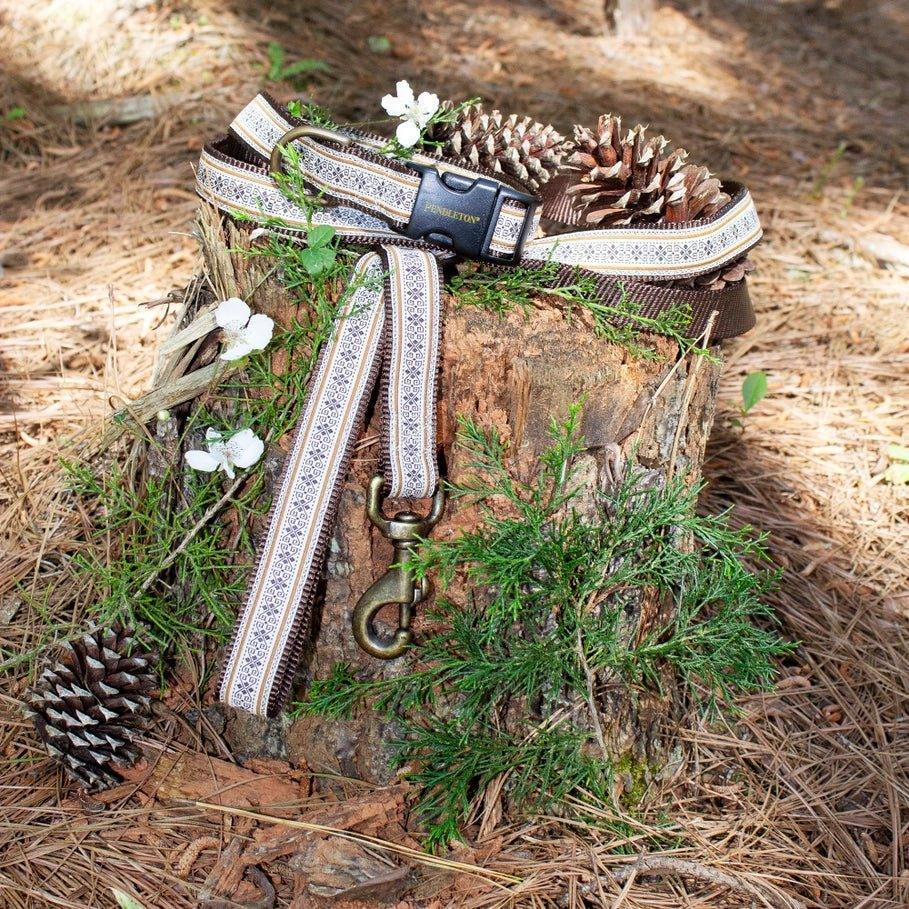 Pendleton Westerley Leash & Collar | Your Western Decor