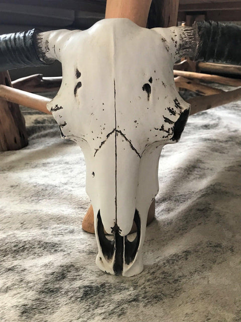 Steer Skull Western Wall Hanging | Wall Decor | Your Western Decor