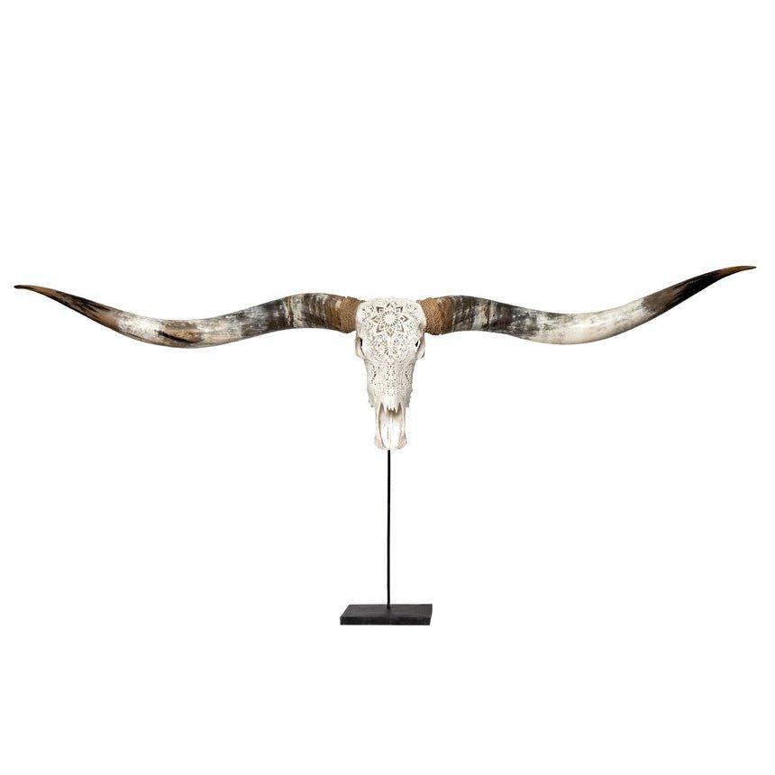 Taxidermy Skull Stand Mount | Decor Ideas | Your Western Decor