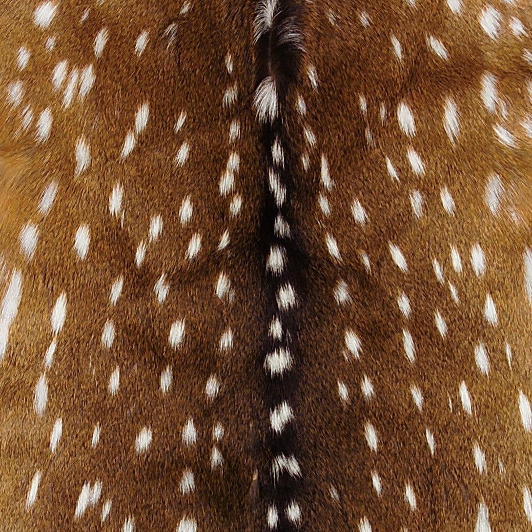 Axis Deer Hide | Custom Upholstery | Your Western Decor
